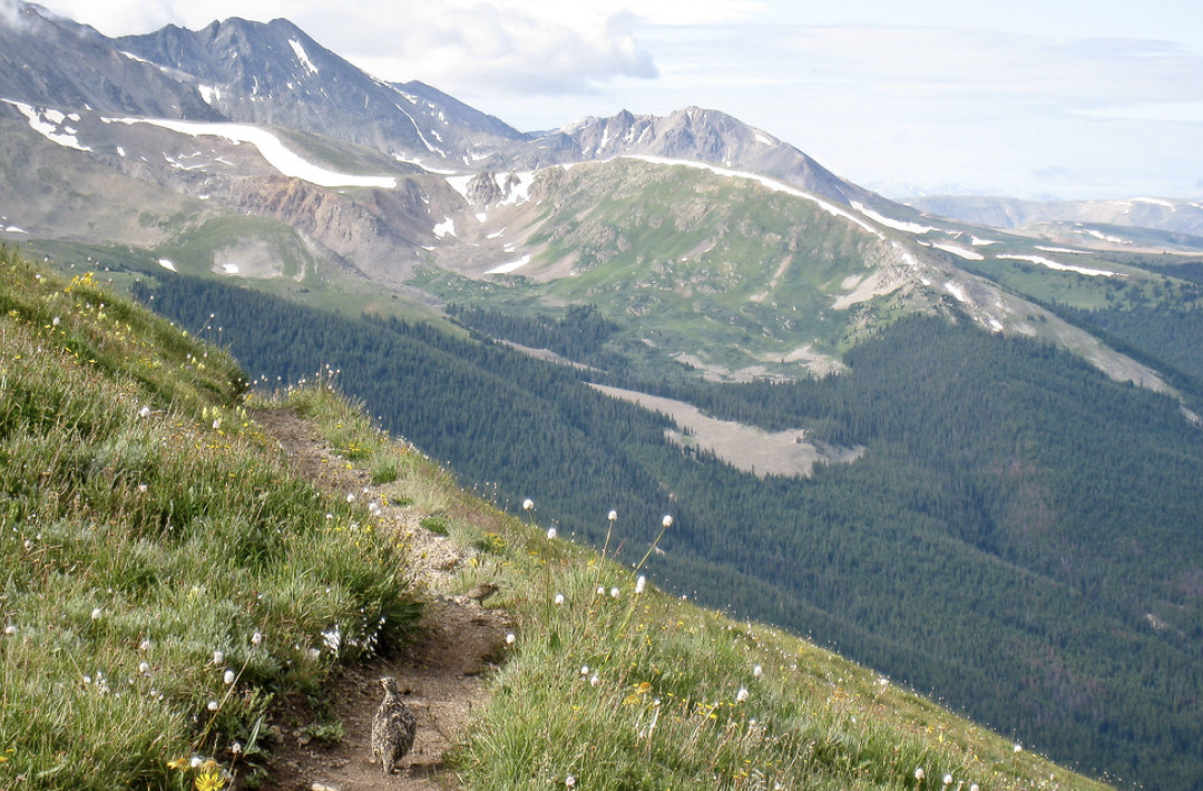 Advice for Colorado 14’r season from a search and rescue pro - Krystal 93