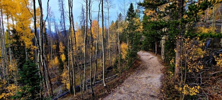 Trail of the Week: Salt Lick trails in Silverthorne - Krystal 93