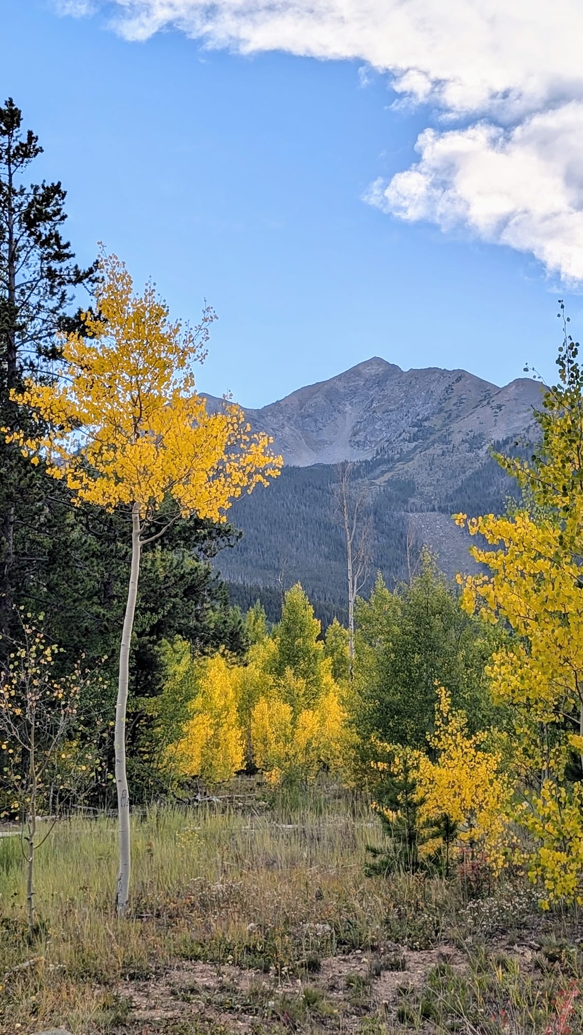 Local summer camps are inadvertently banned from Summit trails, open ...