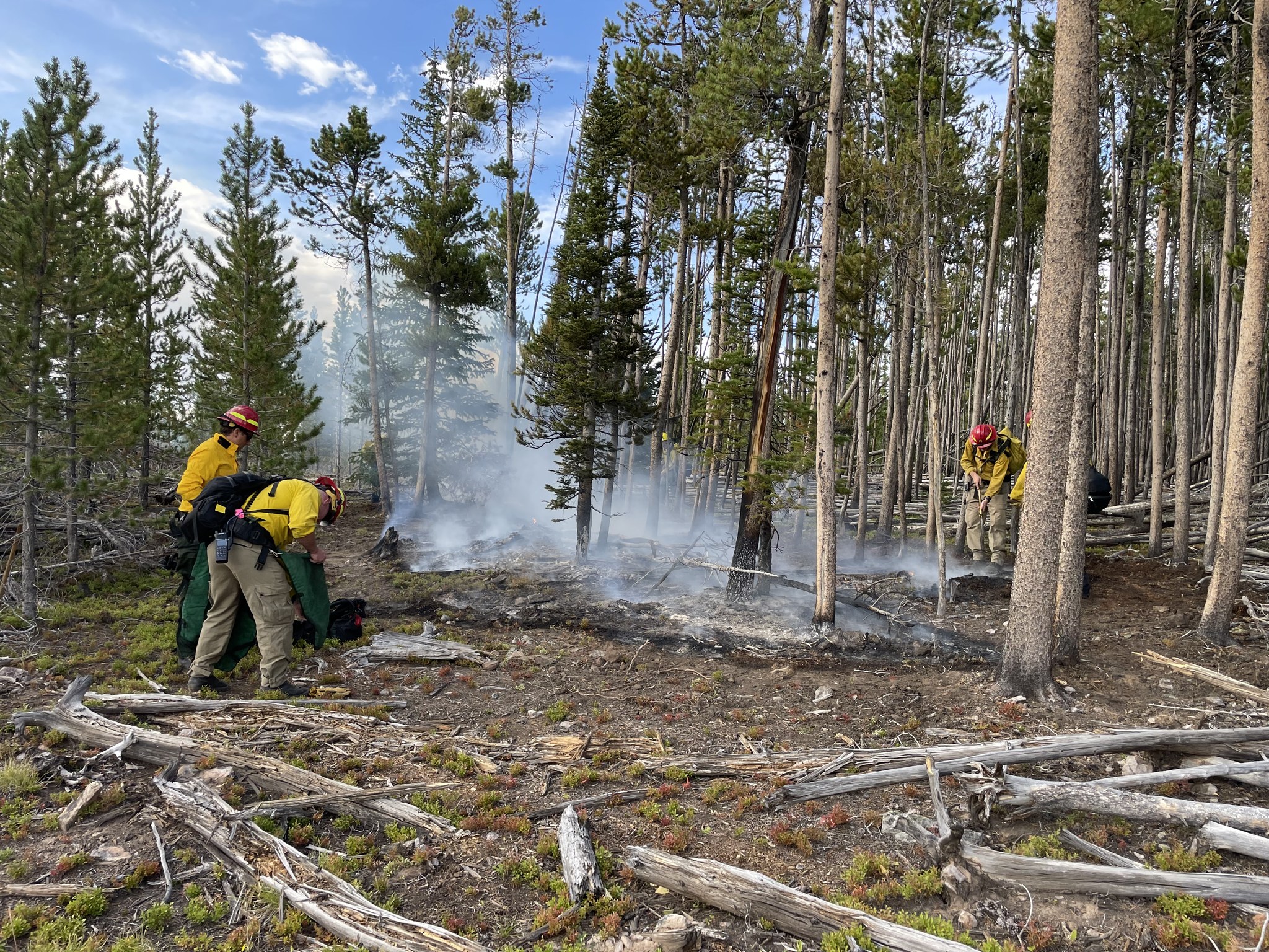 Small wildfire spotted, contained within hours at Gold Hill in Breck ...