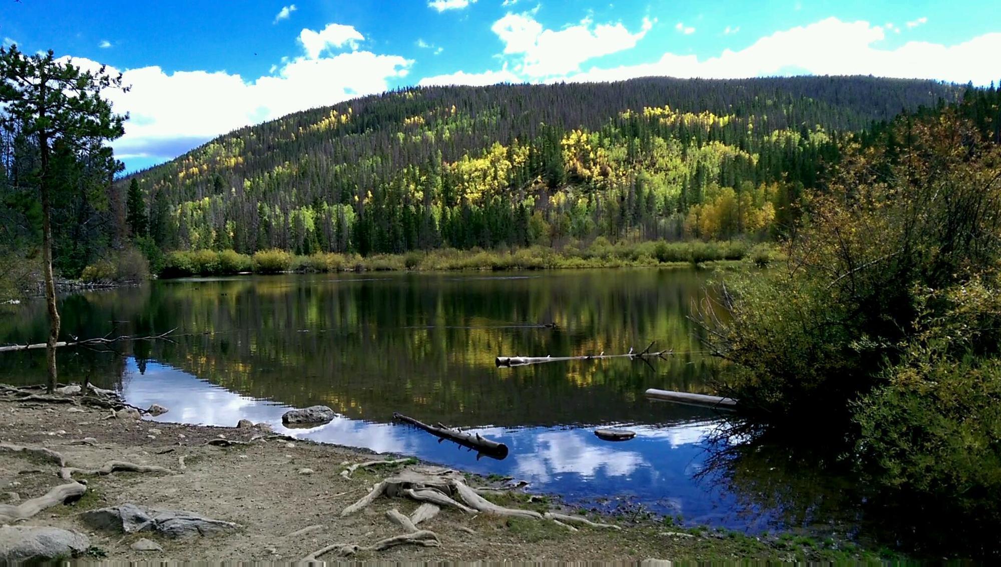 The ‘Frisco Backyard’ forest and trails plan is big, bold and open for ...
