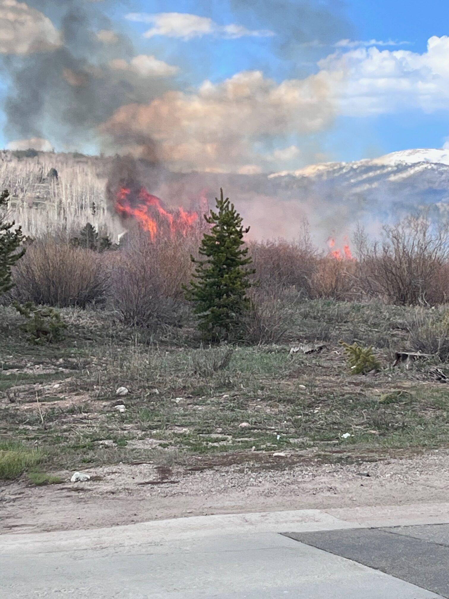 Suspect arrested in Frisco brush fire by Whole Foods - Krystal 93