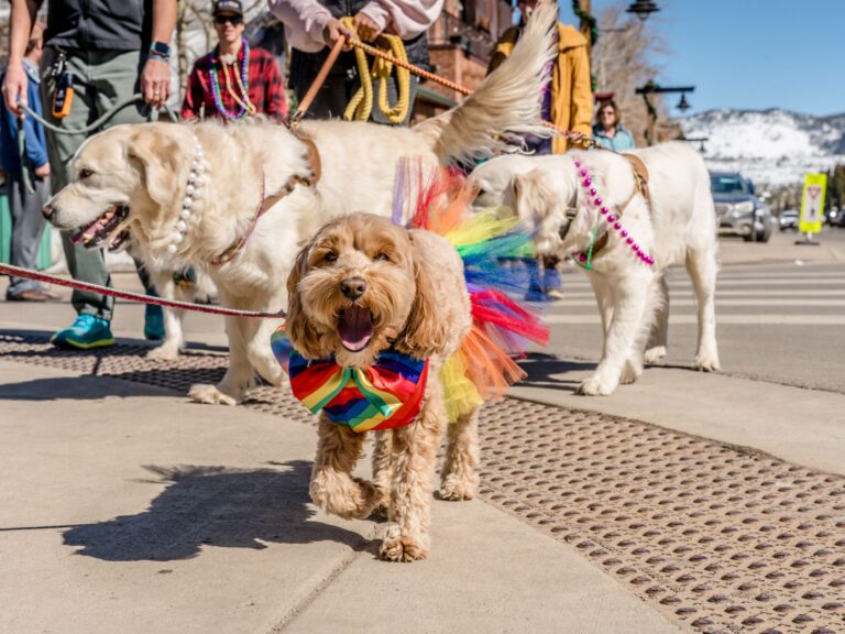 Summit celebrates Mardi Gras with Keystone gumbo and a Frisco dog ...